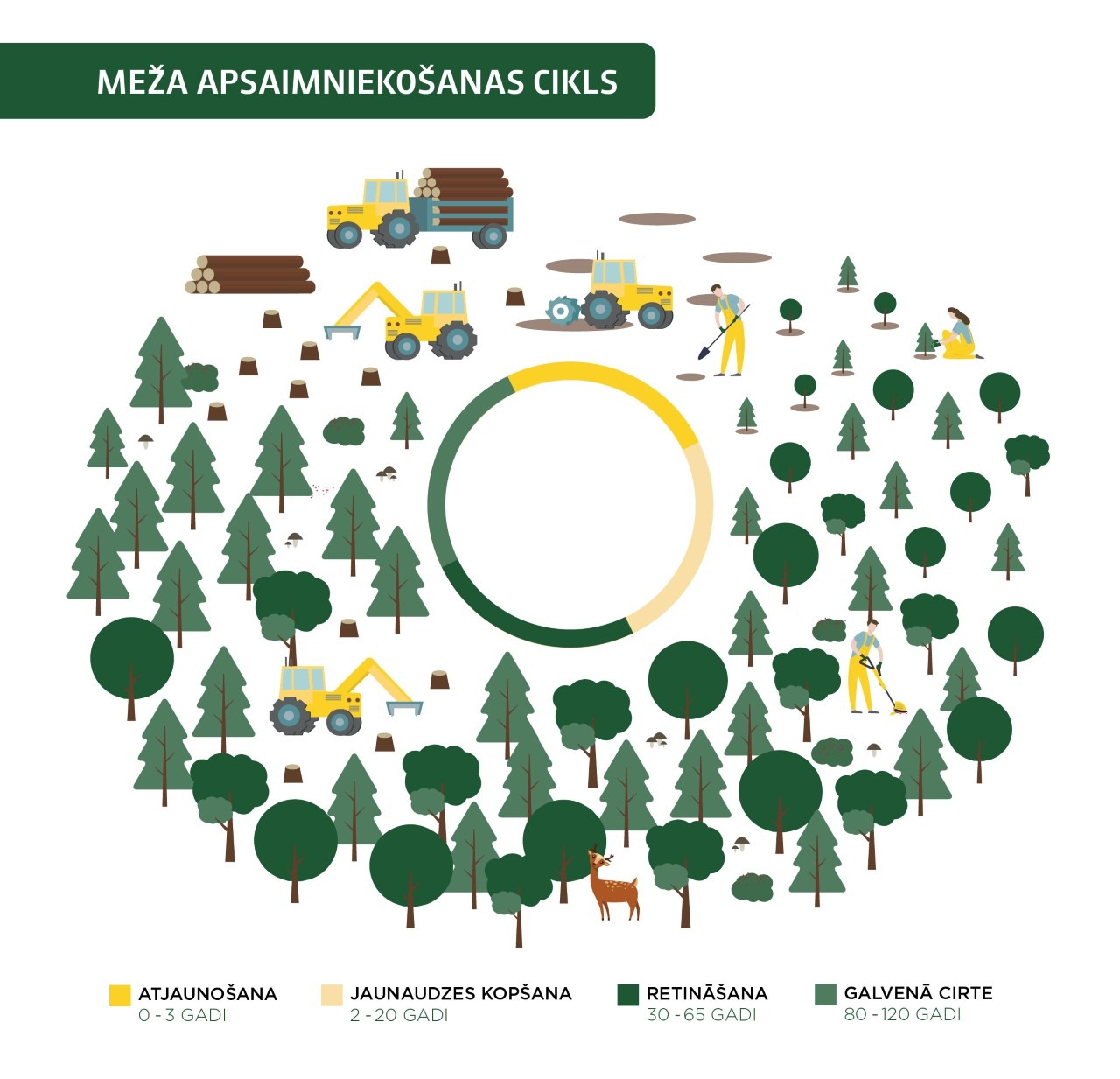 Par kooperatīvu - kāpēc kopā izdevīgāk - Meža īpašnieku kooperatīvs ...